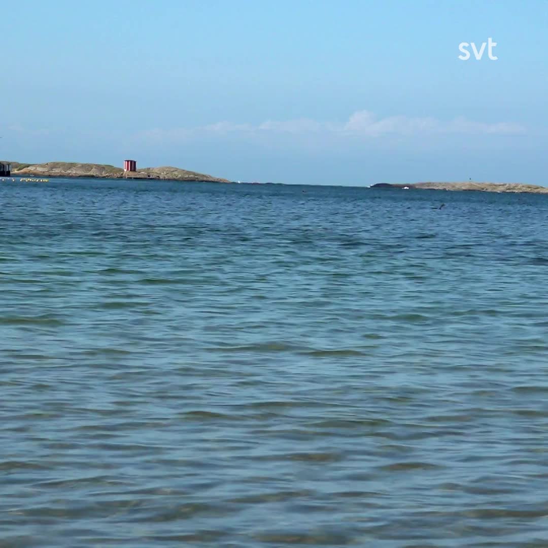 Hjärtsjukdomen SCAD drabbar kvinnor – så förändrades livet för Lisa, 57 ...